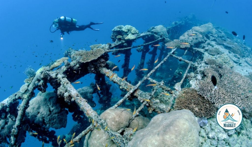 Commemorating the Golden Jubilee of the British Loyalty Wreck in Addu City