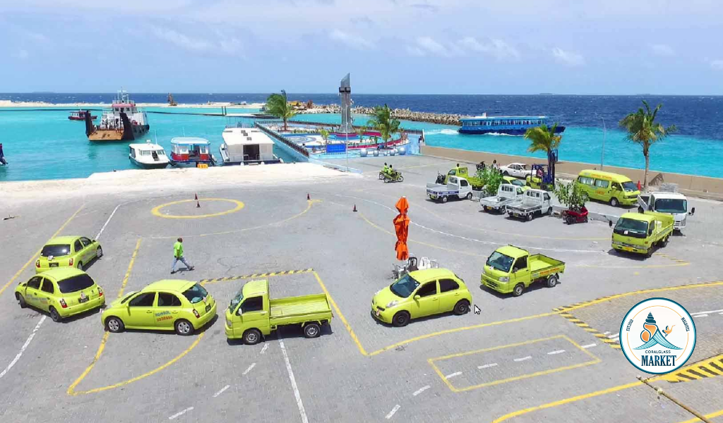 Driving School Before Driver's License