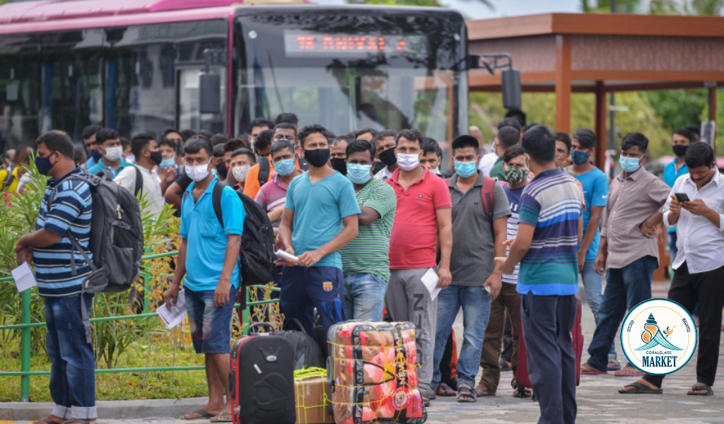 New Updates to Xpat System