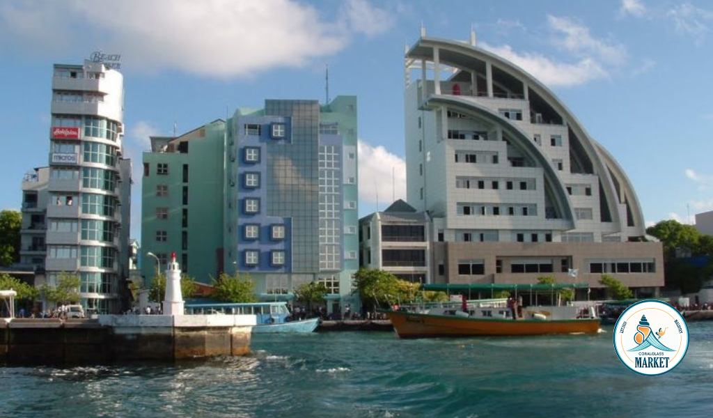 Foreign Ministry Clarifies On-Arrival Visa Conditions for Maldivians ...