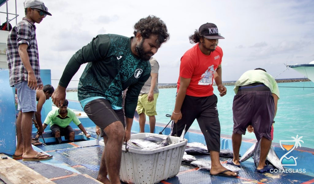 Tourism & Fisheries Drive Maldives’ Economic Growth