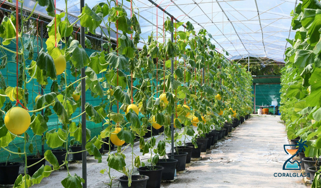 Farming Gets a Green Upgrade in the North